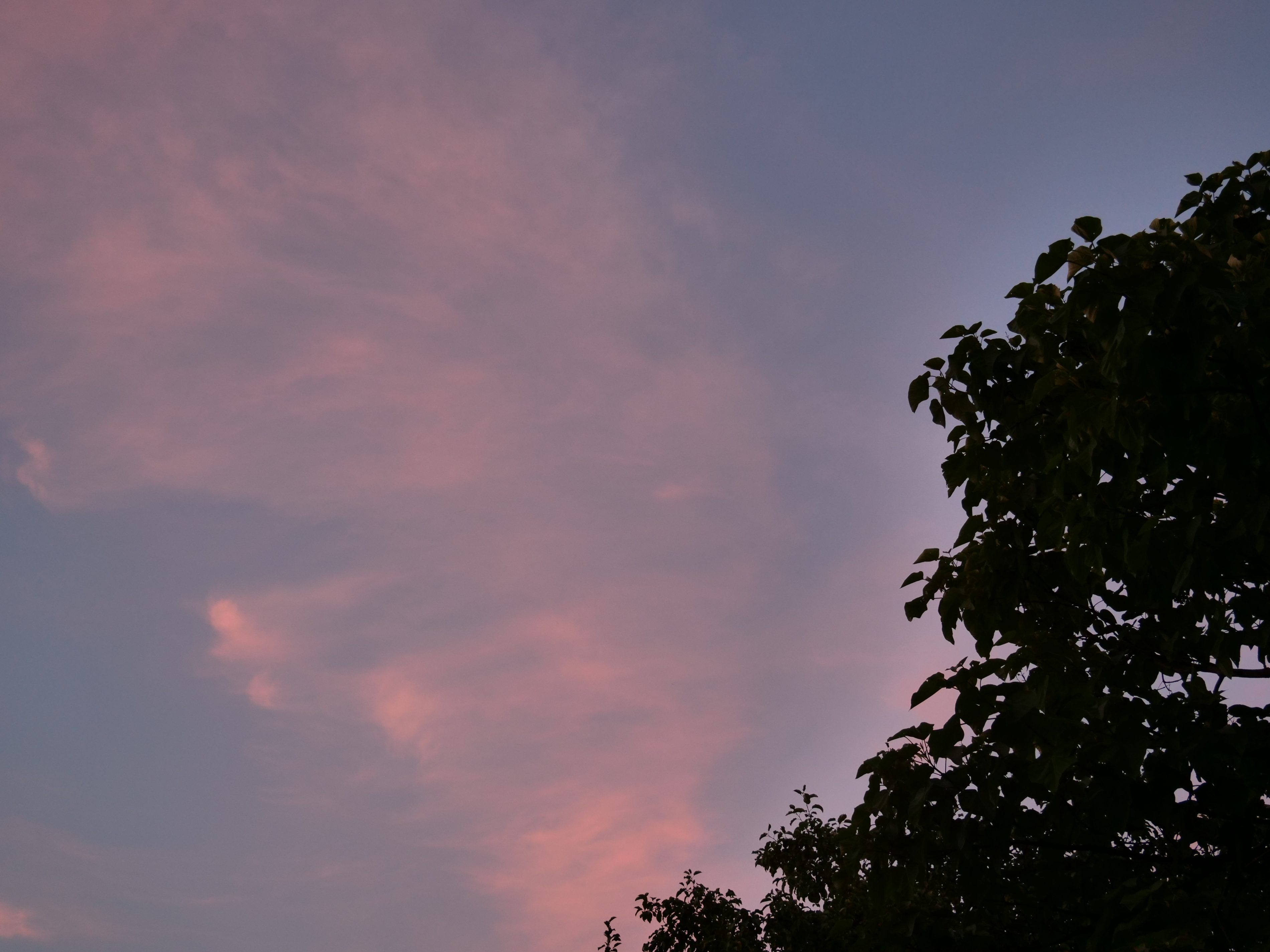 SQL Server 2017 Release Candidate 2 (RC2) is available! | Azure Player