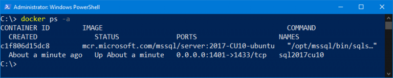 Using SQL Server on Docker | Azure Player