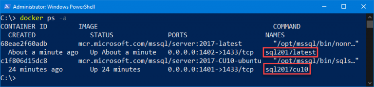 Using SQL Server on Docker | Azure Player